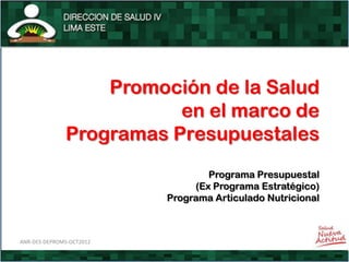 Promocion de la salud en el marco de programas presupuestales | PPTX