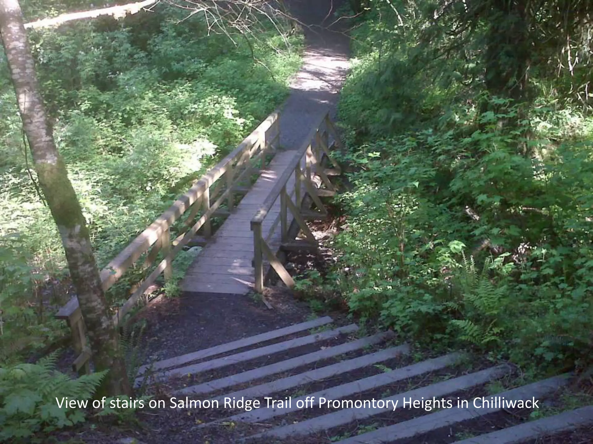 Promontory views | PPTX