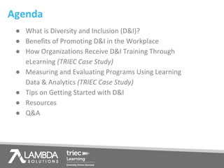 Promote diversity and inclusion in the workplace through online ...