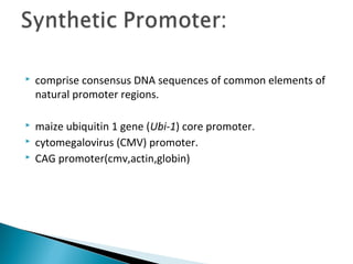 Promoter and its types | PPT