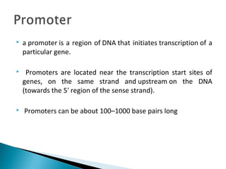 Promoter and its types | PPT