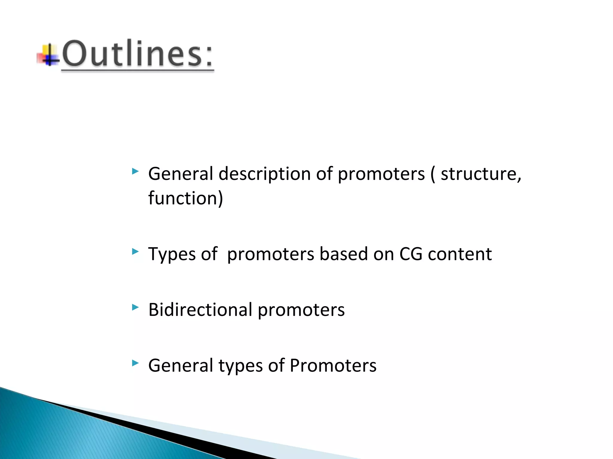 Promoters | PPT