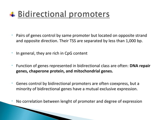 Promoters | PPT