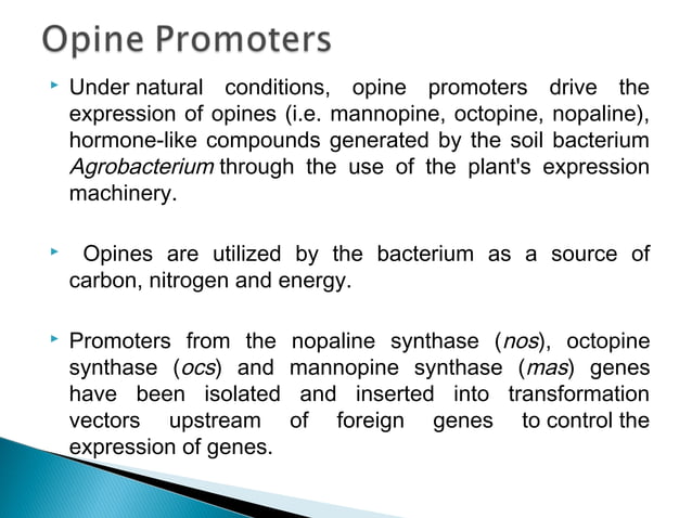 Promoters | PPT