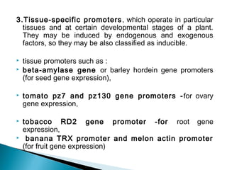 Promoters | PPT