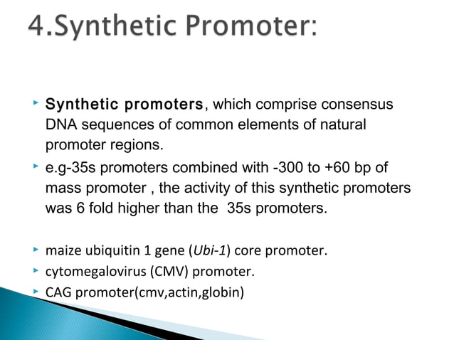Promoters | PPT