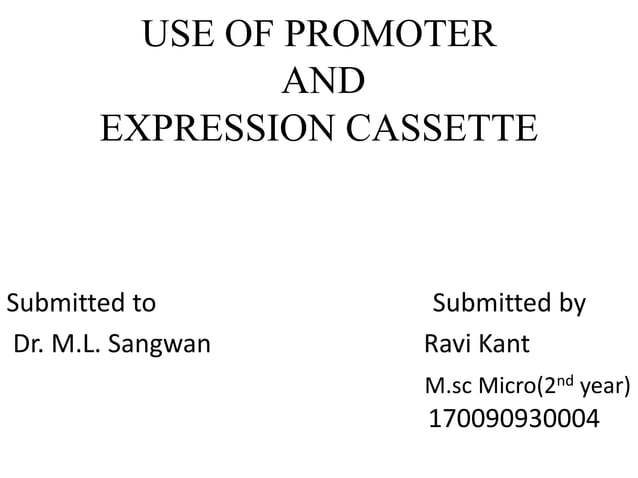 Promoters cassette and expression cassette | PPTX | Chemistry | Science