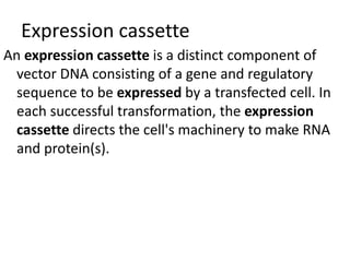 Promoters cassette and expression cassette | PPTX