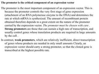 Promoters cassette and expression cassette | PPTX