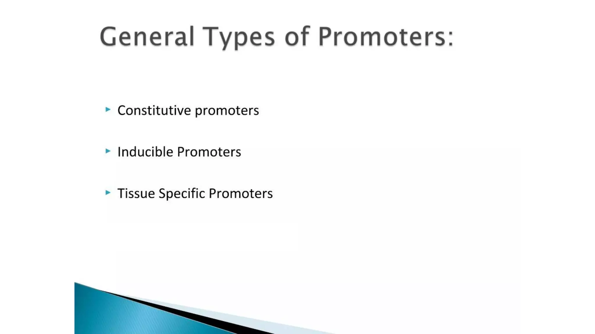 Promoters | PDF