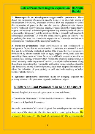 Promoters in gene expression | PDF