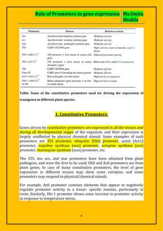 Promoters in gene expression | PDF