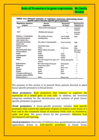 Promoters in gene expression | PDF