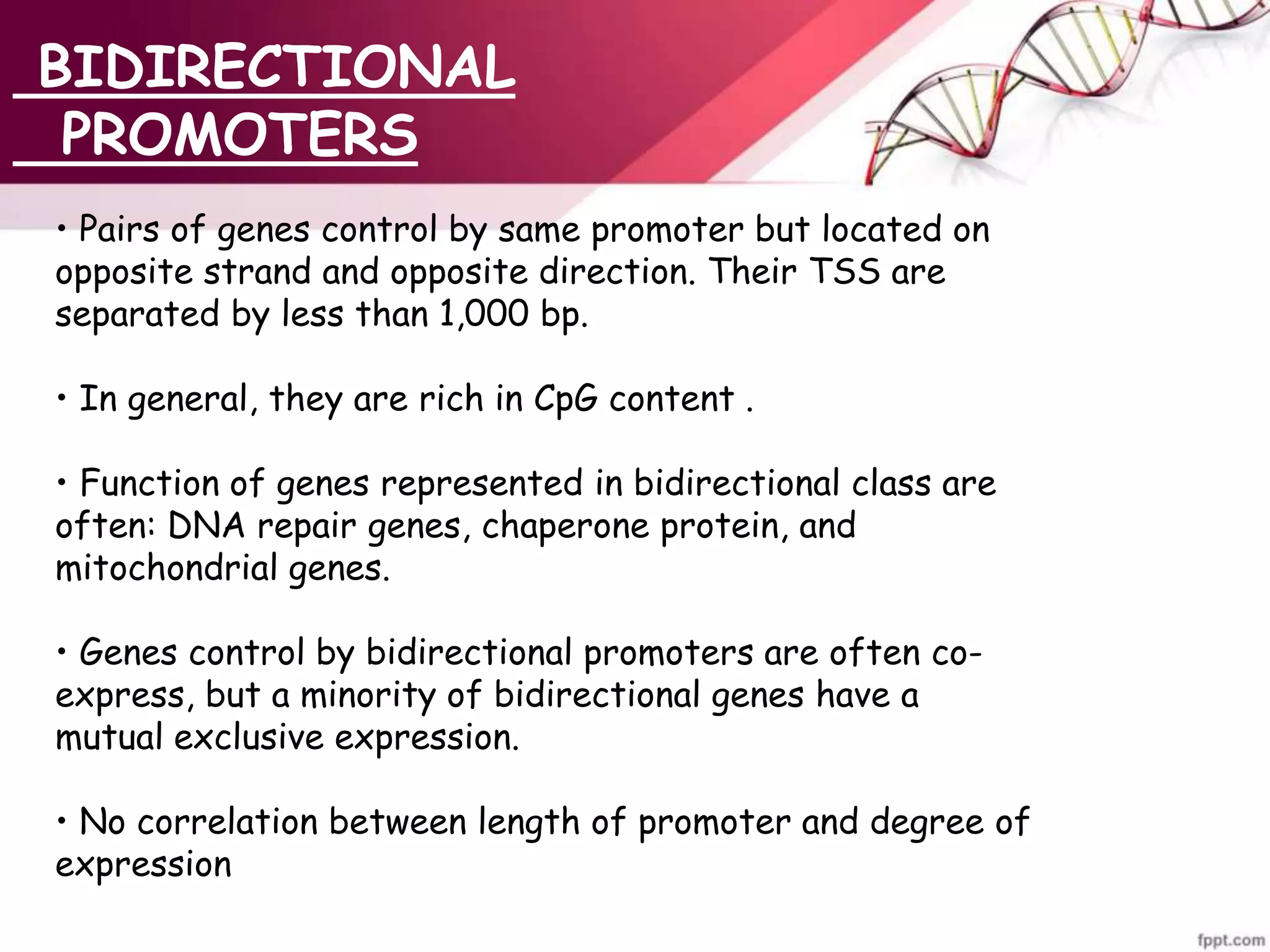 DNA Promoters presentation | PPTX