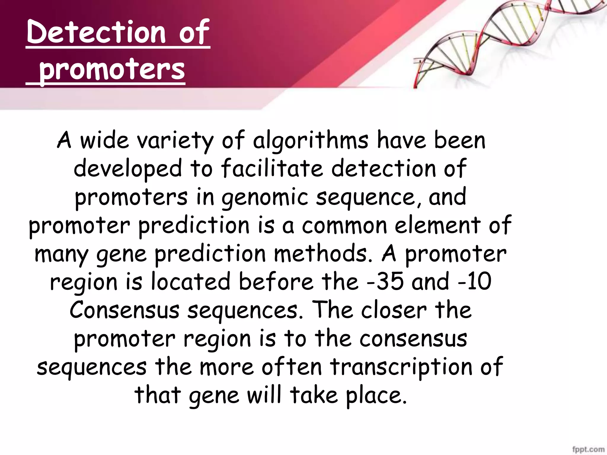 DNA Promoters presentation | PPTX