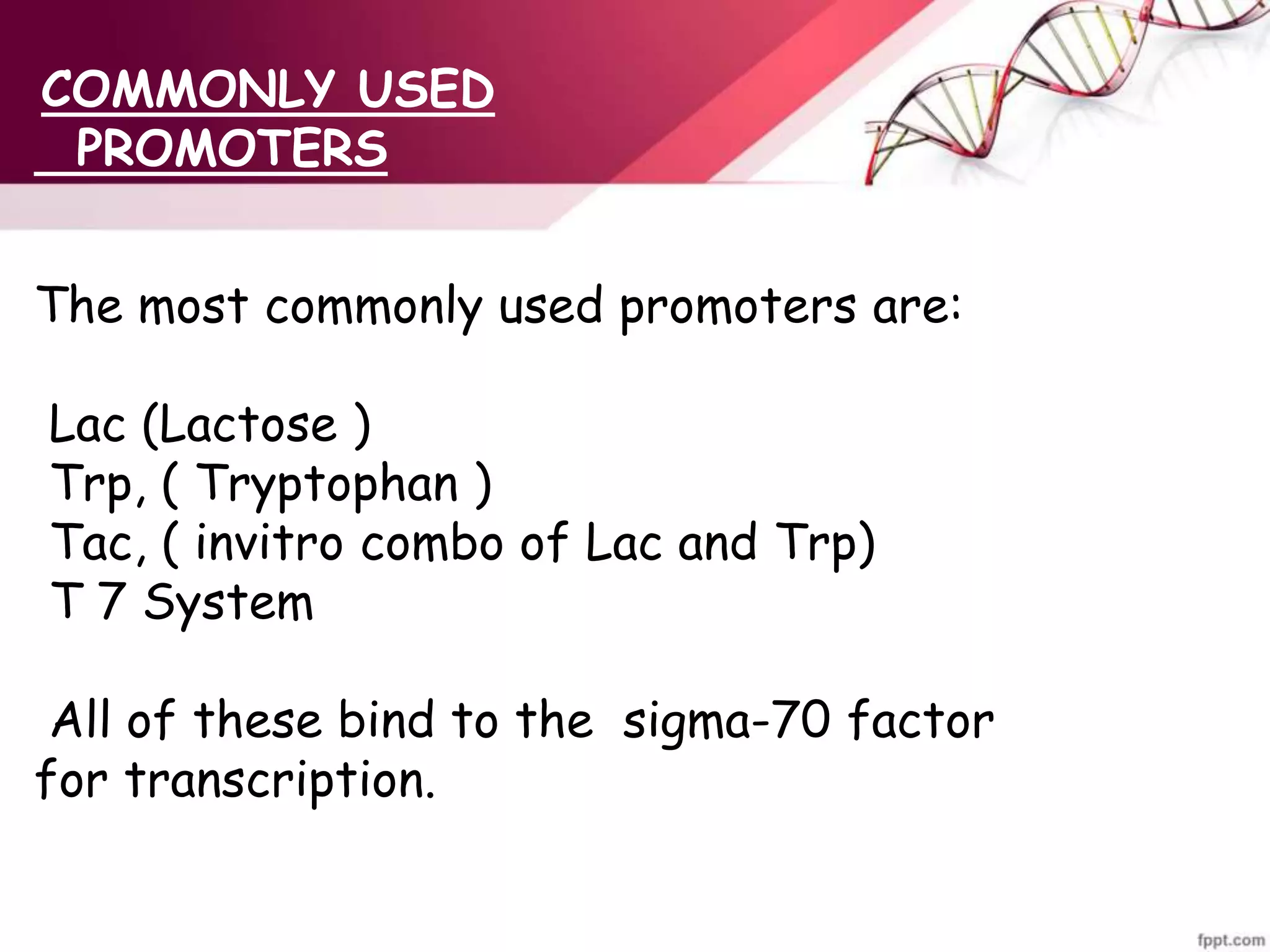 DNA Promoters presentation | PPTX