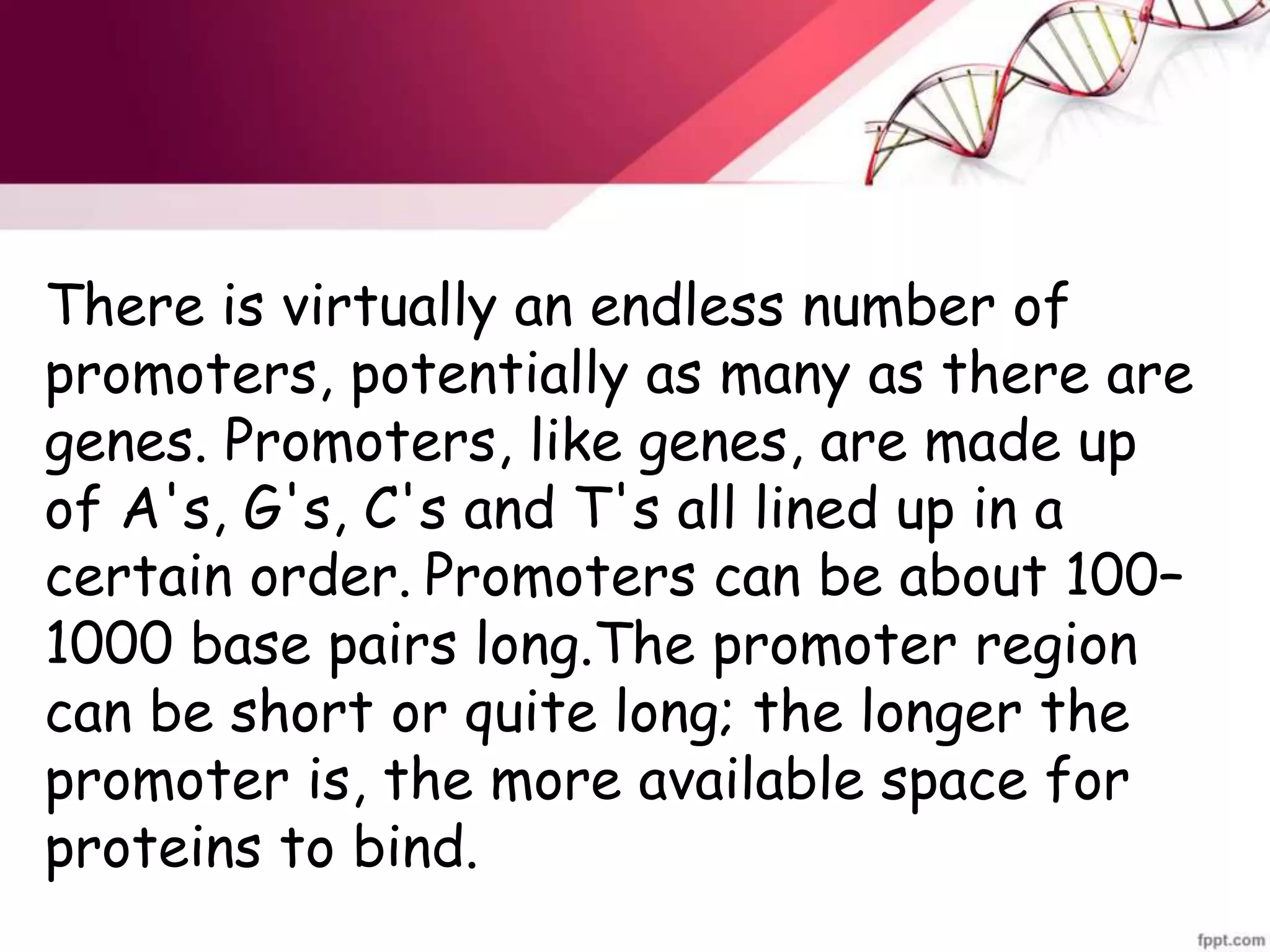 DNA Promoters presentation | PPTX