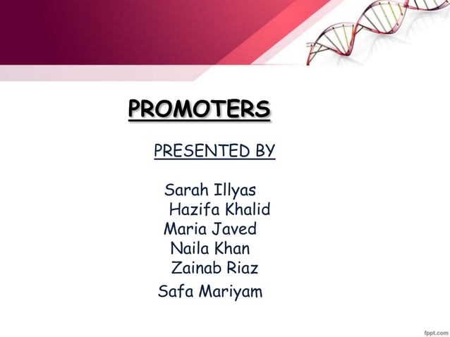 DNA Promoters presentation | PPTX | Video Production | Content Production