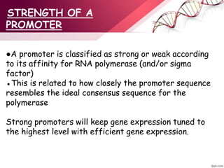 DNA Promoters presentation | PPTX