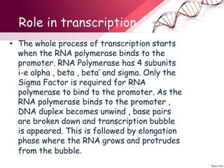 DNA Promoters presentation | PPTX