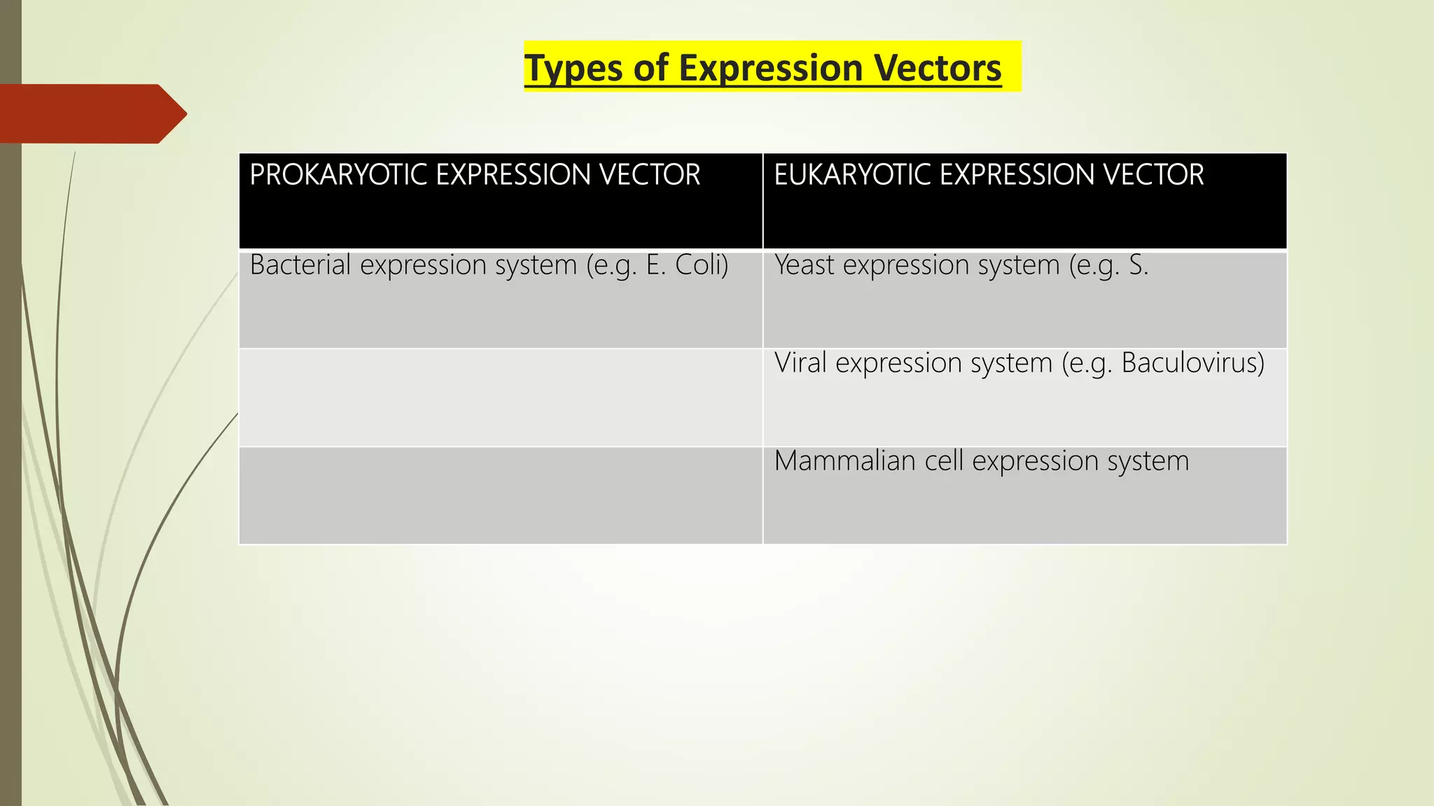 Promoters used in expression vectors | PPTX