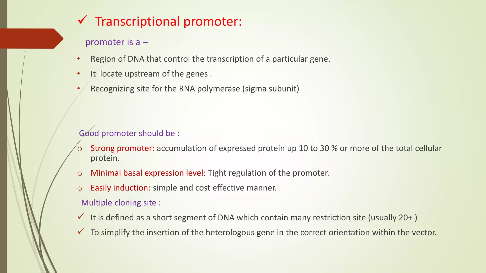 Promoters used in expression vectors | PPTX