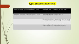 Promoters used in expression vectors | PPTX