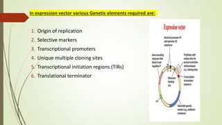 Promoters used in expression vectors | PPTX