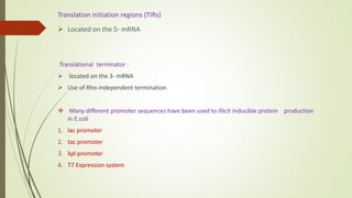 Promoters used in expression vectors | PPTX