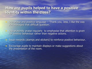 Promoting Seal In The Classroom Practical Suggestions | PPT