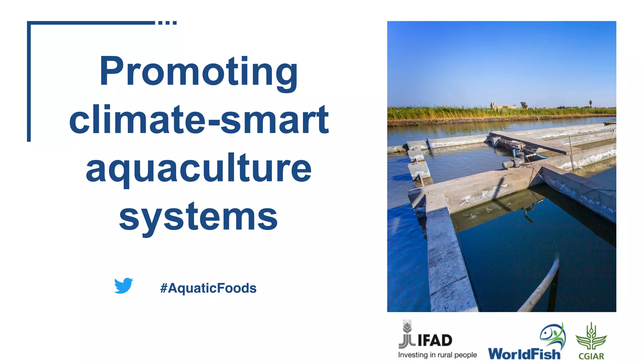 Promoting climate smart aquaculture systems | PDF