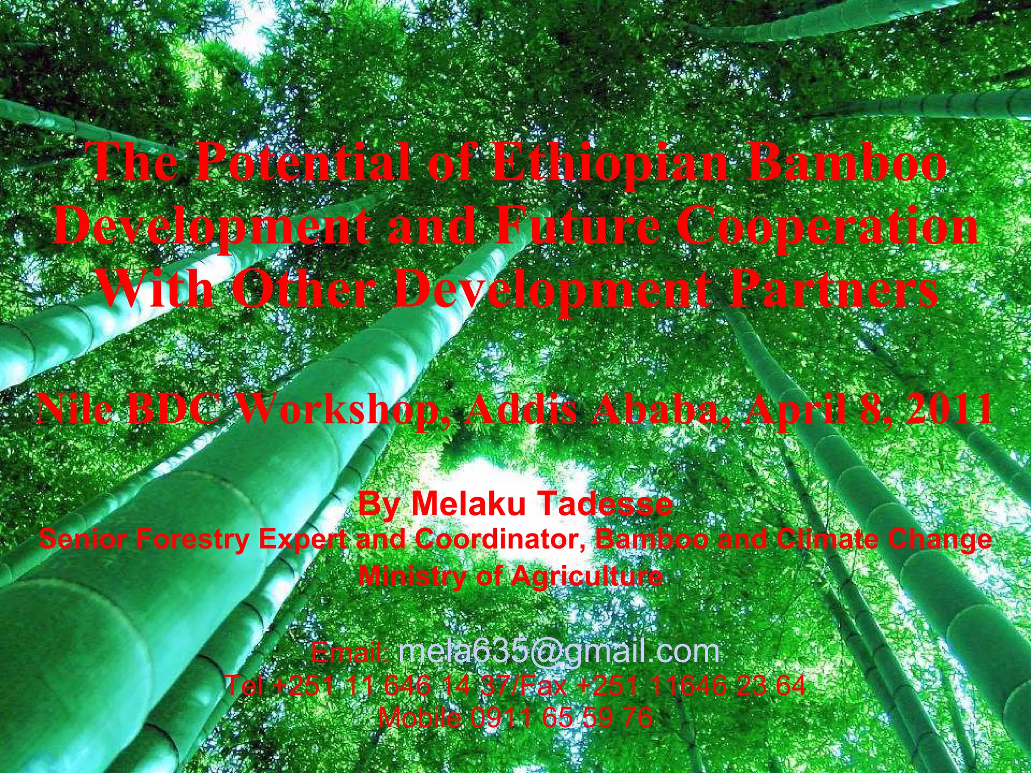 The potential of Ethiopian bamboo development and future cooperation ...