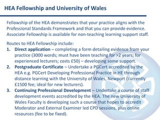 Promoting Professional Standards in Higher Education | PPTX