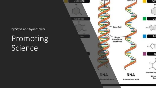 A must do by every Scientist! | PPT