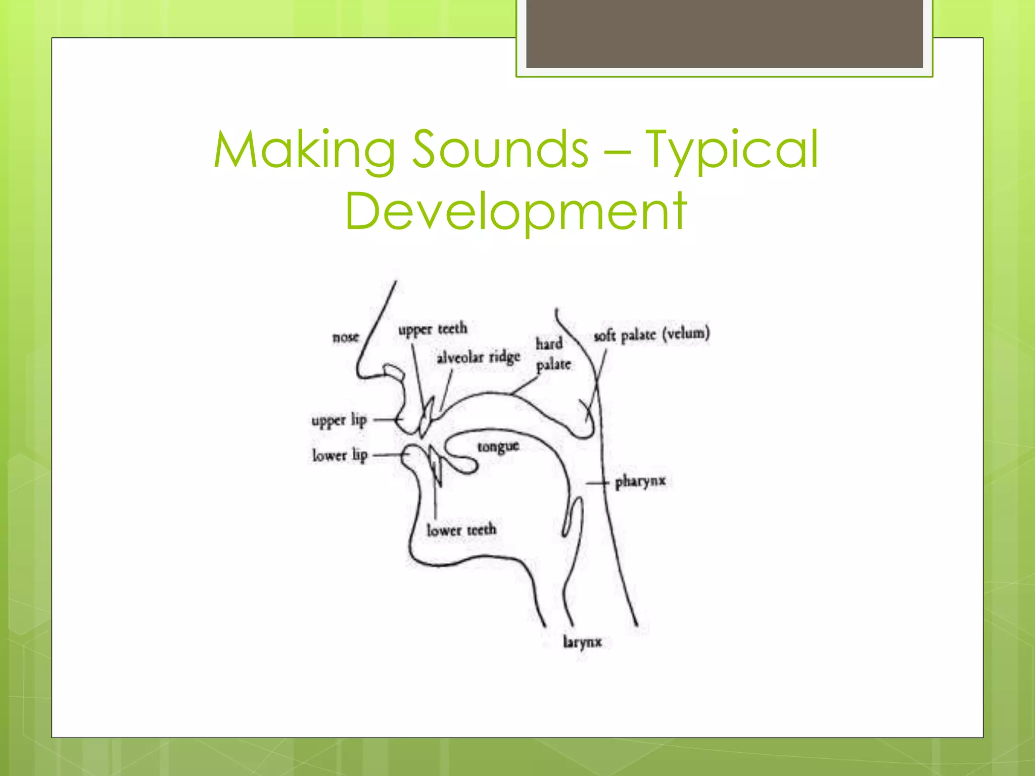 Promoting speech sounds | PPT