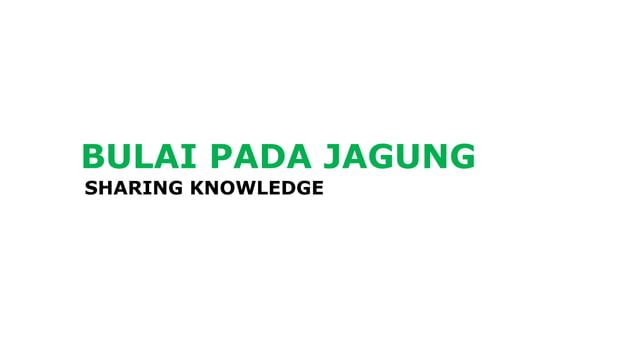 Penyakit paada Tanaman , Khususnya bulai | PPT