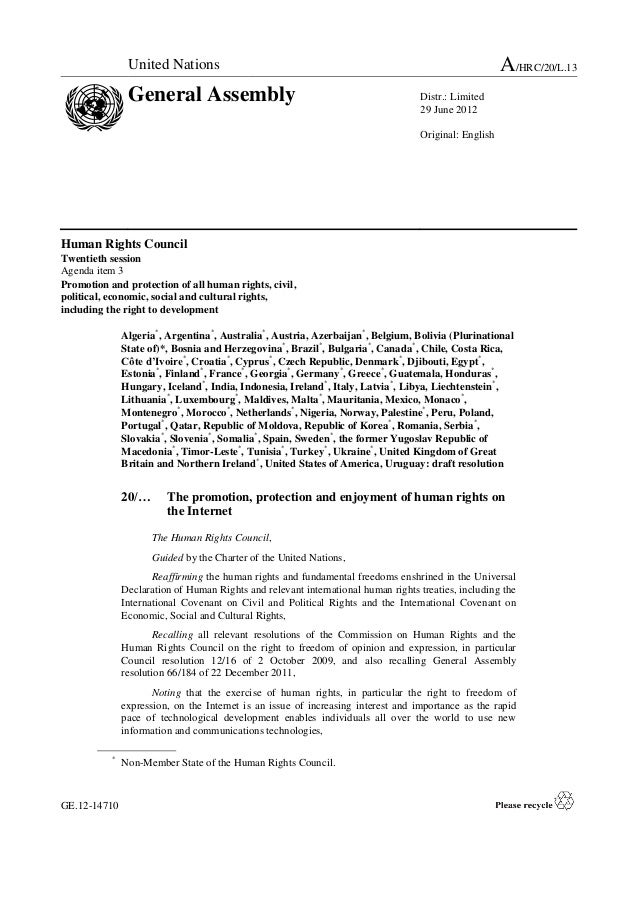 Promotion Protection And Enjoyment Human Rights On Internet