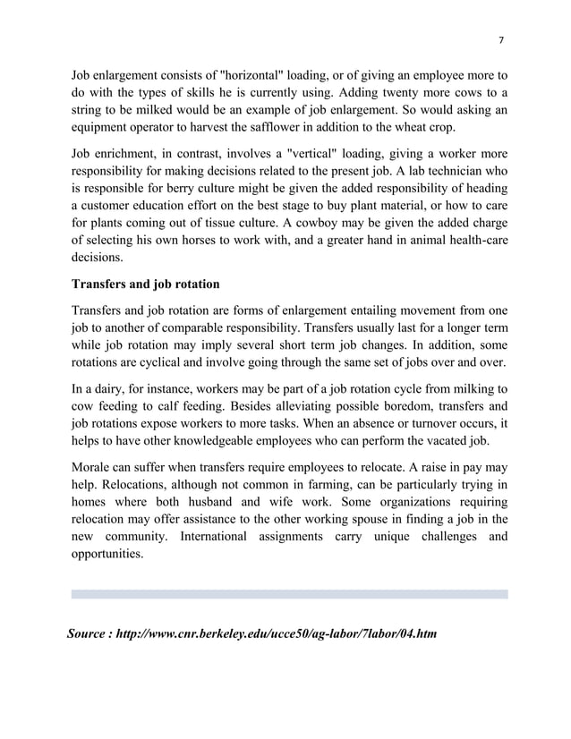 Promotions Policies | DOCX | Career Advice | Careers