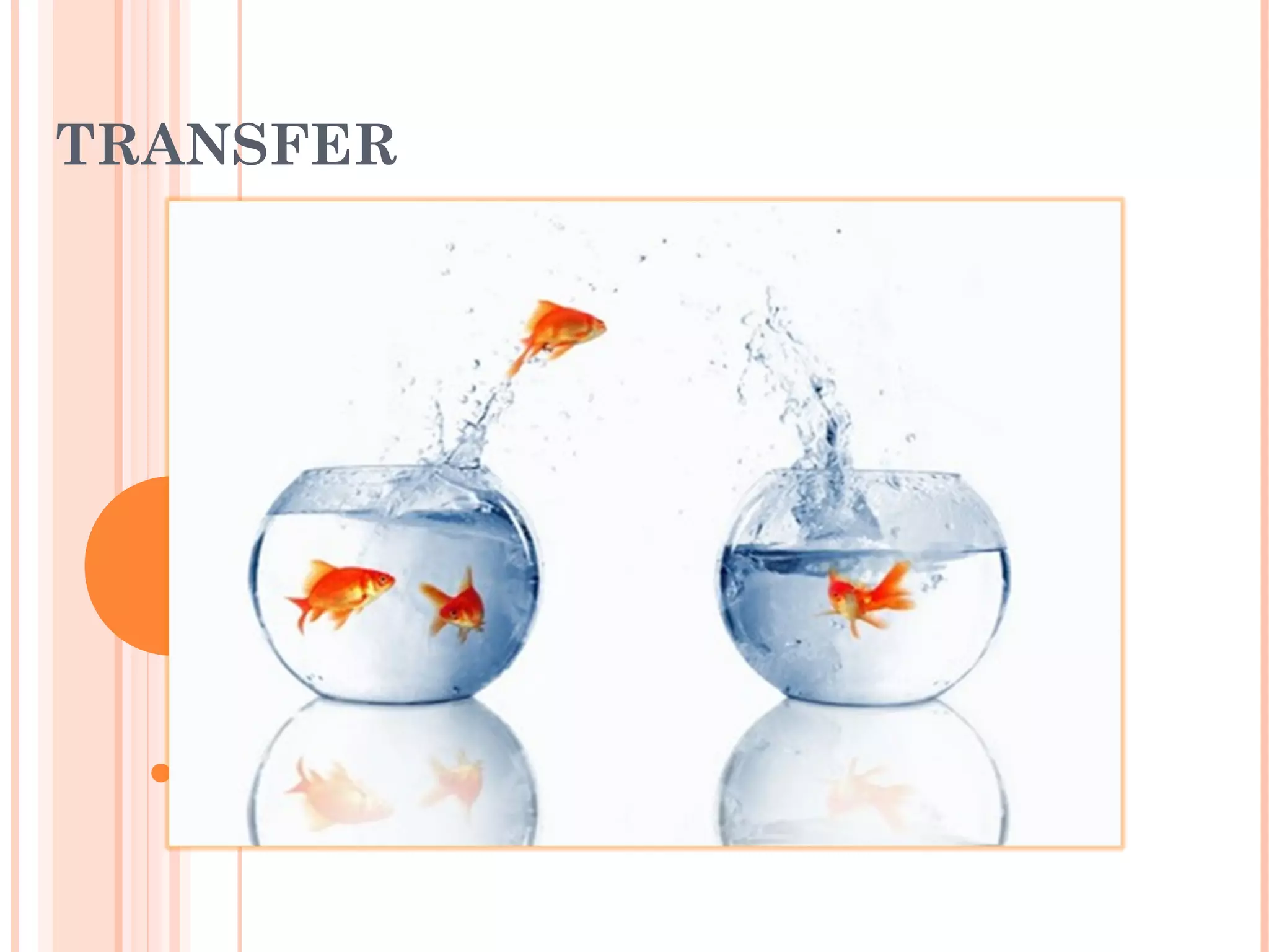 Promotion,transfers and separation | PPT