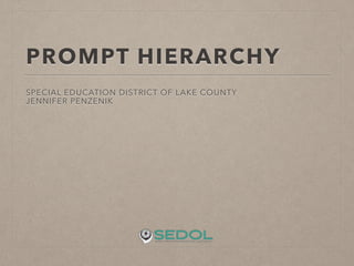 Prompt Hierarchy | PDF