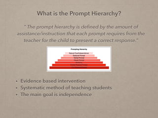 Prompt Hierarchy | PDF