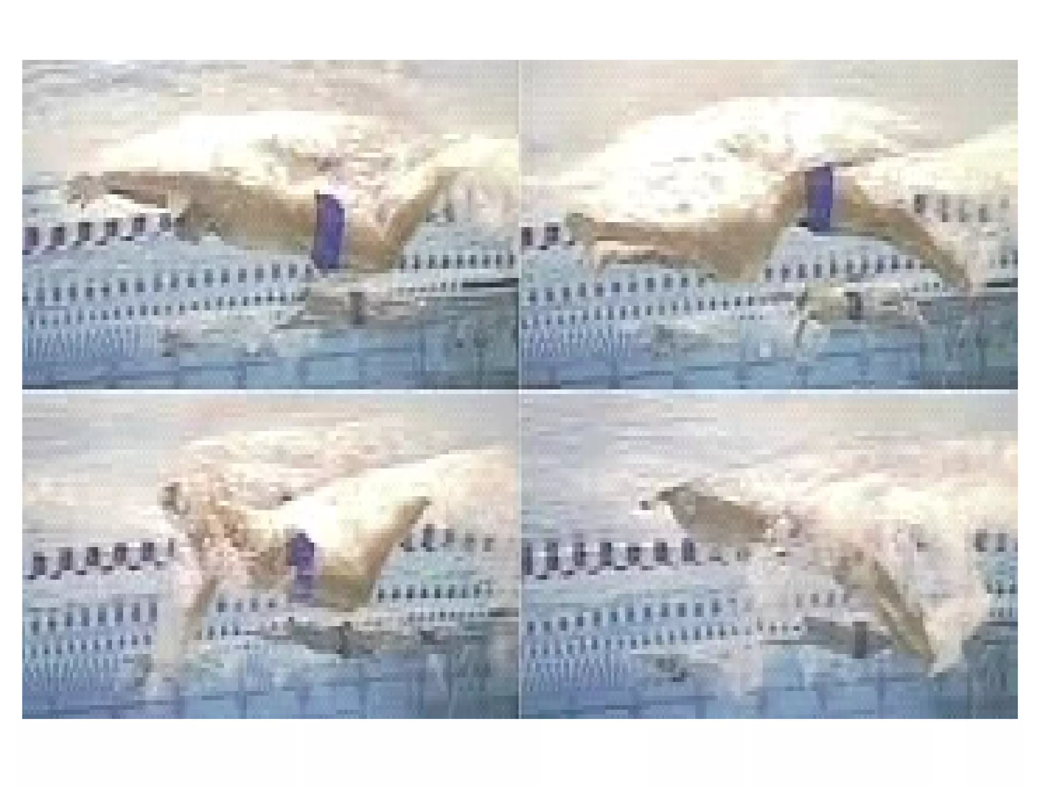 BLABT Butterfly Prone position | PPT