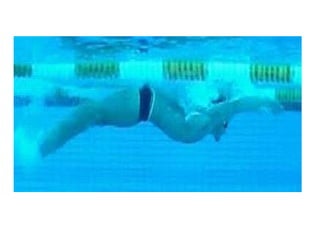BLABT Butterfly Prone position | PPT