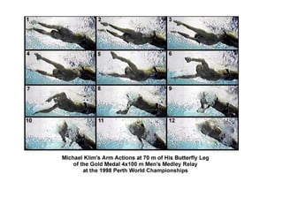 BLABT Butterfly Prone position | PPT