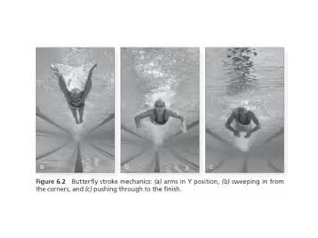 BLABT Butterfly Prone position | PPT