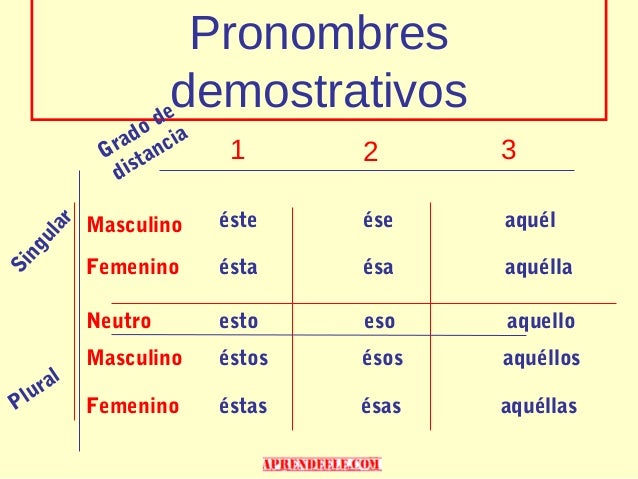 Los Pronombres Demostrativos Cuales Son Y Que Tipos Hay Ejemplos Images