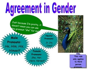 Pronoun Antecedent Agreement | PPT