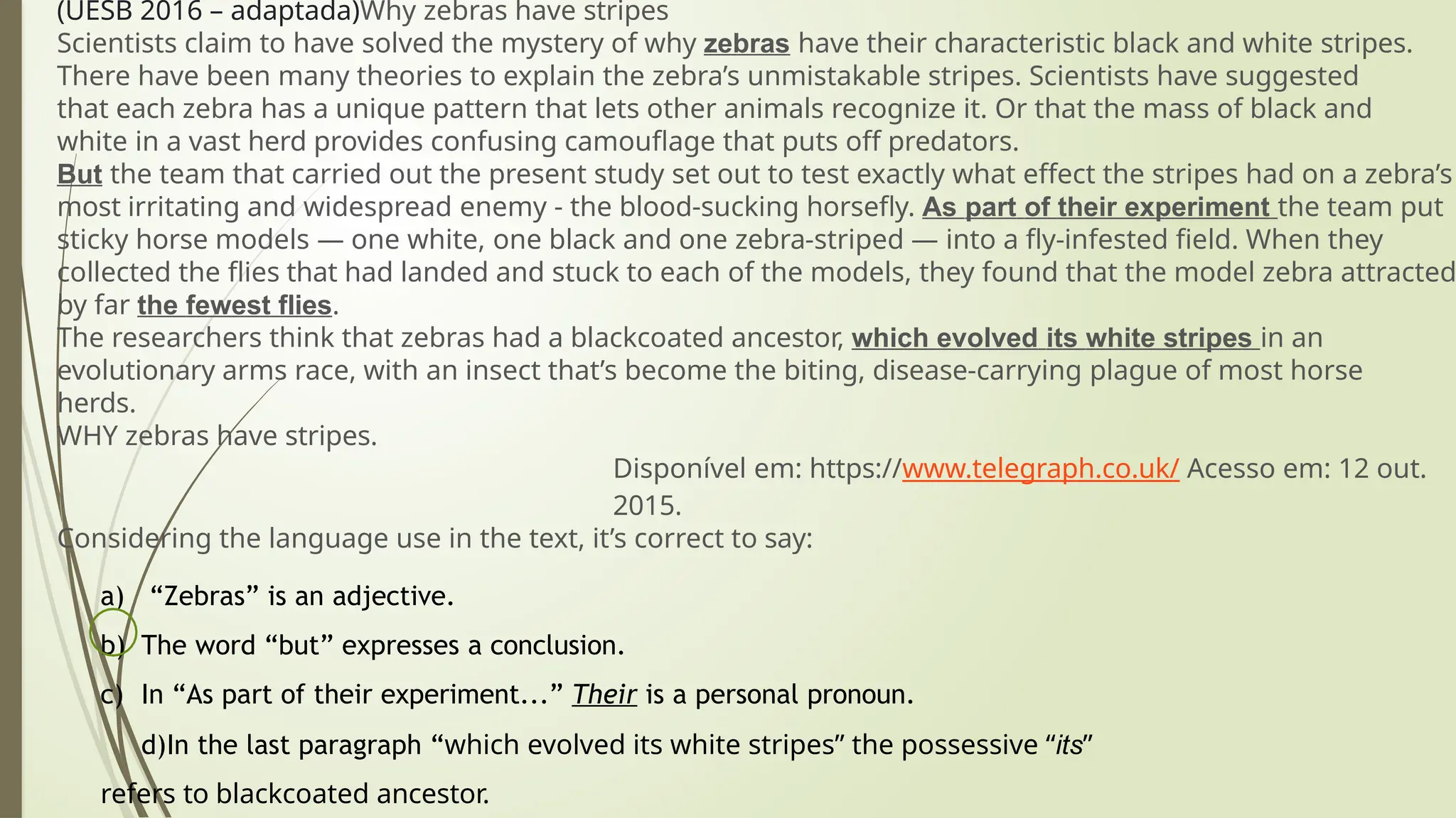 slide sobre os pronomes pessoais, pronomes possessivos, adjetivos e ...