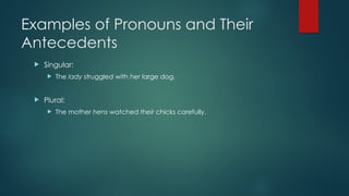 A grammar lesson about Types of pronouns | PPTX