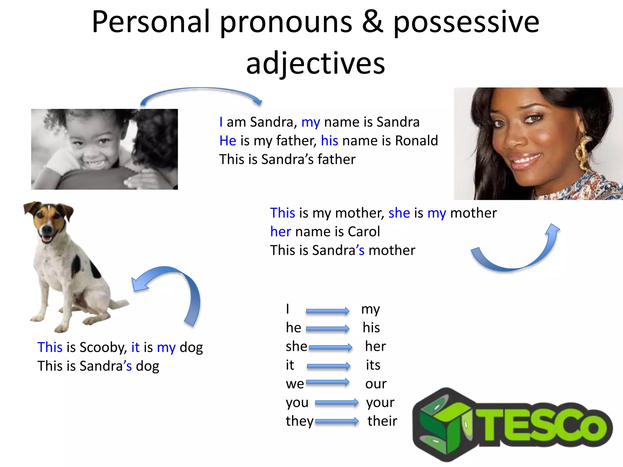 Pronouns & possessives | PPT